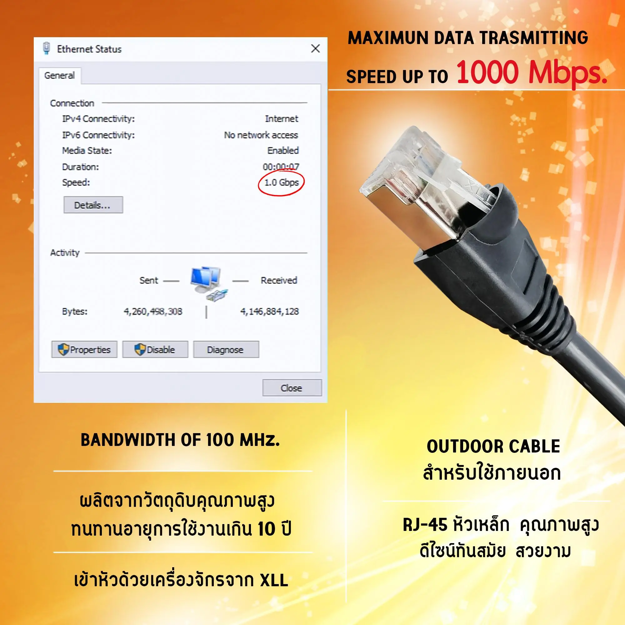 LAN CAT5E 10m. 2M | Thisshop