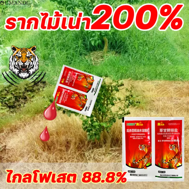 รากไม้เน่า200% OUMANDI รุ่นเข้มข้น ยาฆ่าหญ้า ยาฆ่าหญ้าเผาไหม้ ยาฆ่าหญ้า ...